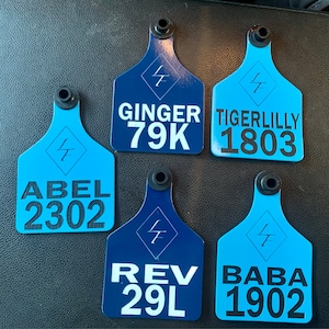 Leopard Turquoise Serape Background Png Sublimation Design, Western ...