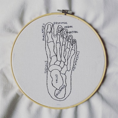 Anatomy Embroidery Pattern Bundle, Ribs Hand Foot Spine, Physical ...