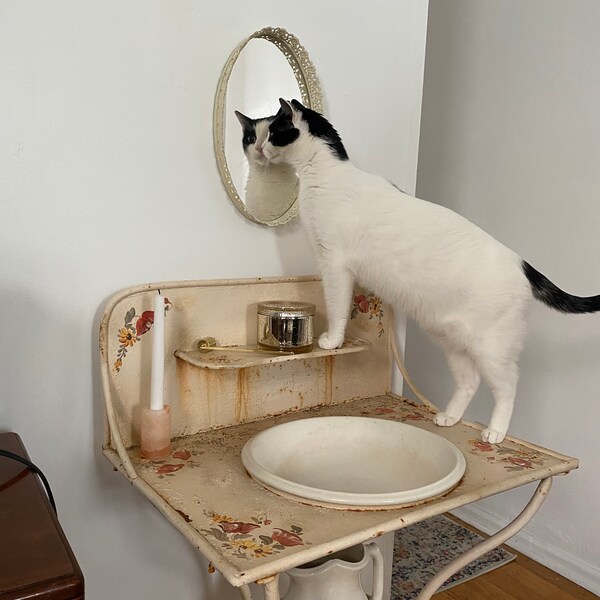 1960s Pair of Carved Soapstone Animals Handcarved Bear & Seal Figurines ...