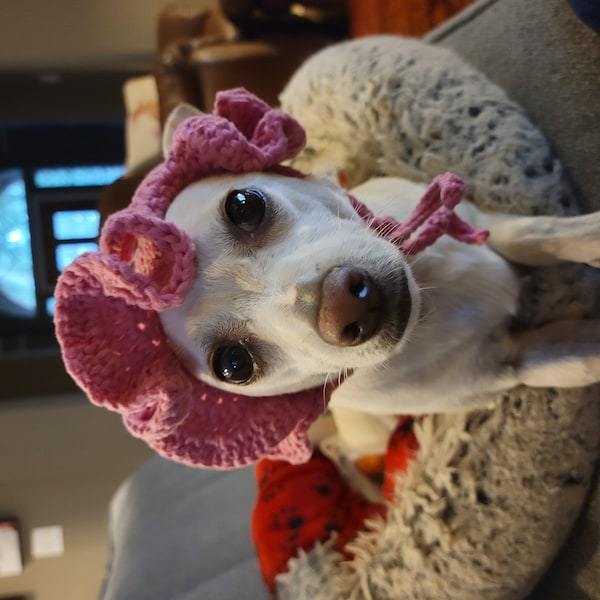 Cute Sun Bucket Flower Hat With Ruffles Small Pet Pattern, Dog Cat ...