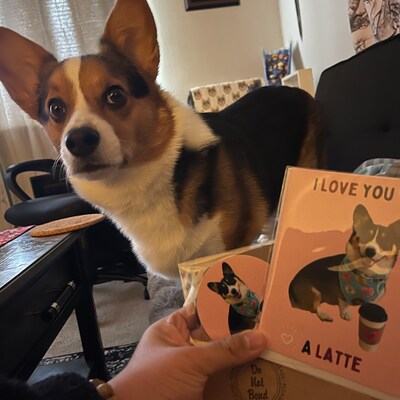 Next Chapter Corgi Retirement Card, Tri-color Corgi, Pembroke Welsh ...