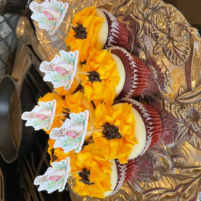 PRINTED 12 Peter Rabbit Flopsy Bunny Beatrix Potter Theme Cupcake Pick ...