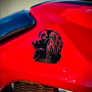 Eminem Slim Shady Silhouette WHITE Car Sticker - Bumper Window Vinyl ...