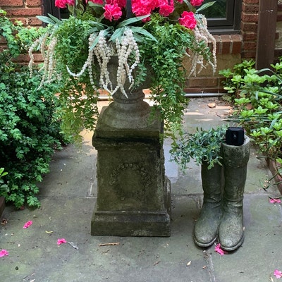 Juniper Fresh Cut Oregon Juniper Box Christmas Wedding Fresh Cut ...