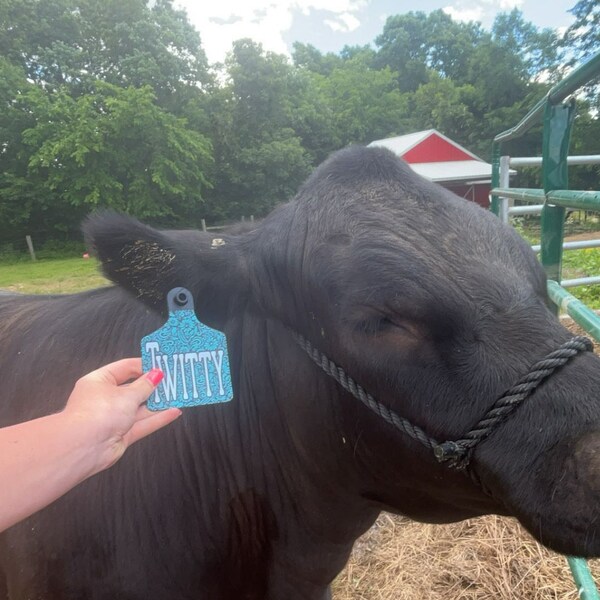 Custom Cattle Ear Tag UV Printed Full Color Weatherproof Personalized ...