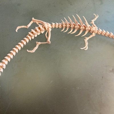 Articulated Skeleton Dragon Designed by doll_maker_spb 3d Printed ...