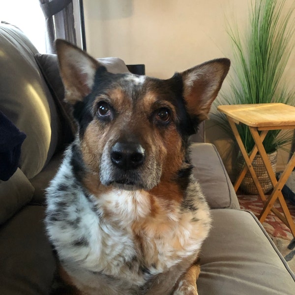 Lighthouse Cake Topper,lighthouse Theme Mr and Mrs Wedding Cake Topper ...