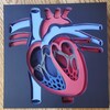 Fjord Critical Role SVG and PNG Cut Files for Shadow Box - Etsy UK