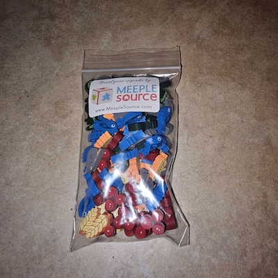 Painted Wooden Food for Wingspan - Etsy