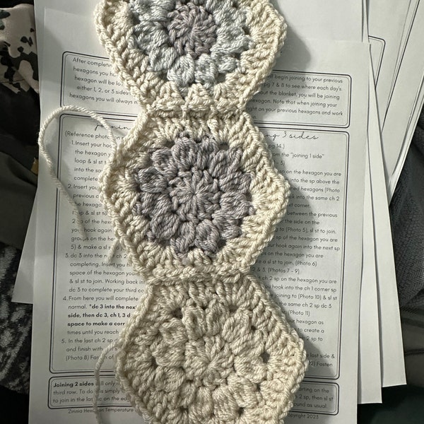 CROCHET PATTERN | Zinnia Hexagon Temperature Blanket Pattern | Granny ...