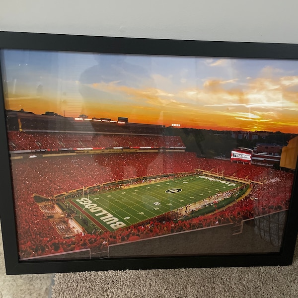 UGA: Georgia Bulldogs Uga X Mascot Photo Picture Print, Graduation Gift ...