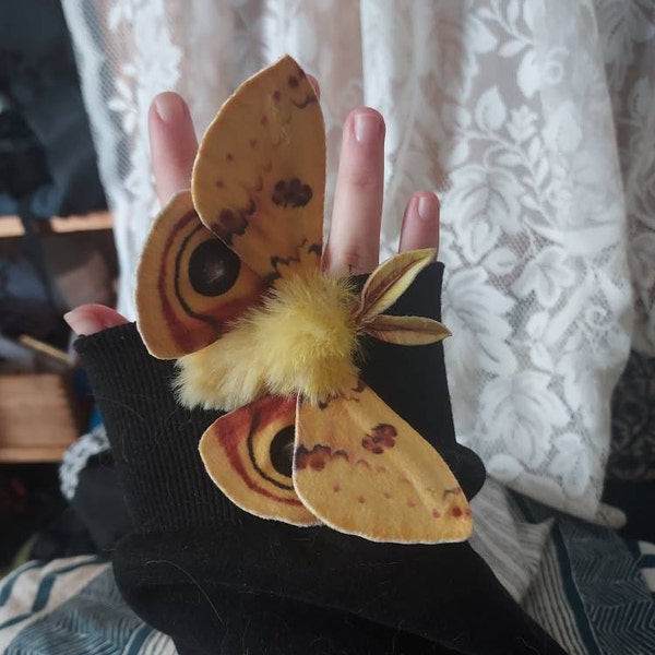 Flower Mantis Hair Claw Clips Spiny Flower or Umbrella Mantis! - Etsy