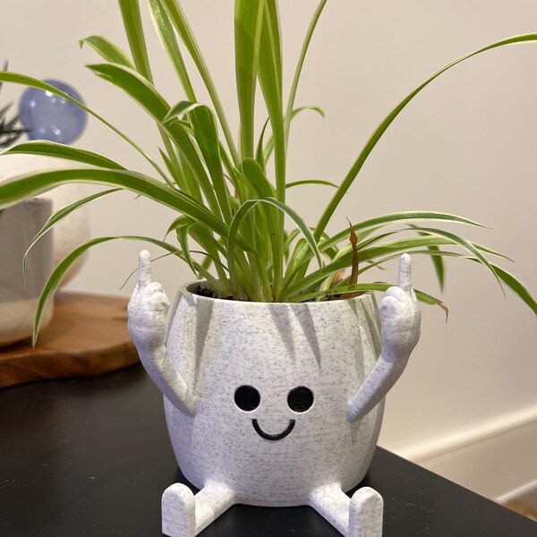 Happy Face Planter, Cute Plant Pot, Succulent Pot, Funny Plant Pot, Gag ...