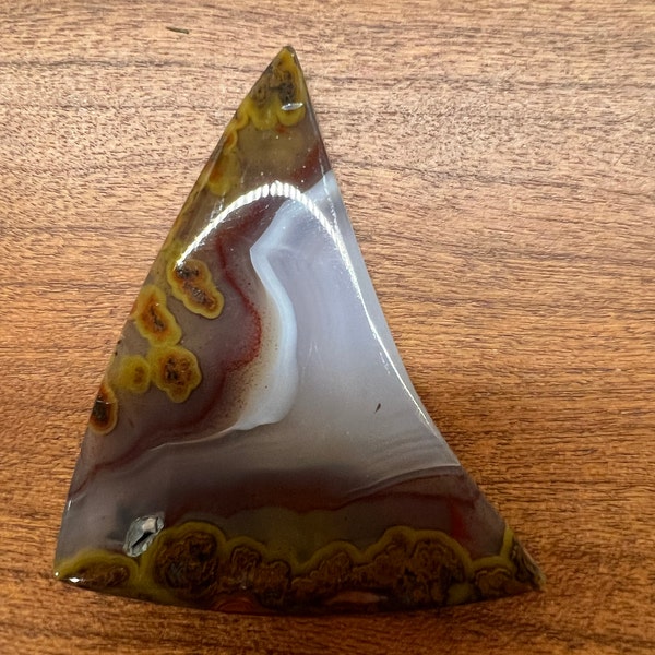 Stromatolite Collenia Undosa Fossil Proterozoic 2.1 B.y.o. 6.715cts ...