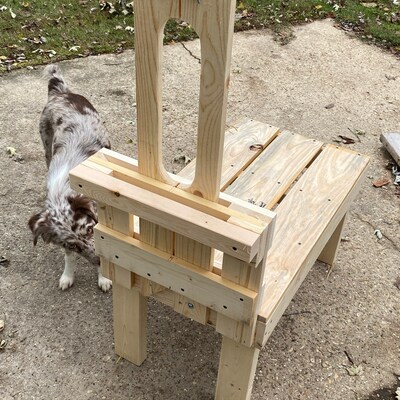 Goat Milk Stand for Pygmy and Dwarf Goats, Quality Eco Friendly Durable - Etsy