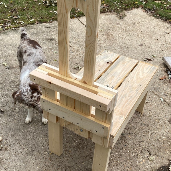 Goat Milk Stand for Pygmy and Dwarf Goats, Quality Eco Friendly Durable ...