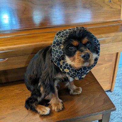 Waterproof Thick Dog Snood , Swimming Cap for Dog , Dog Hat for Snow - Etsy