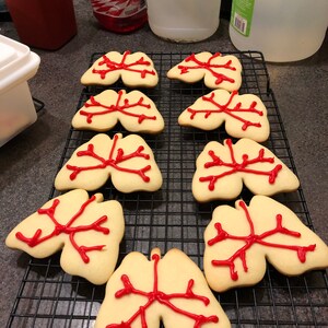 Anatomical Lungs Cookie Cutter Metal USA Handmade by West - Etsy