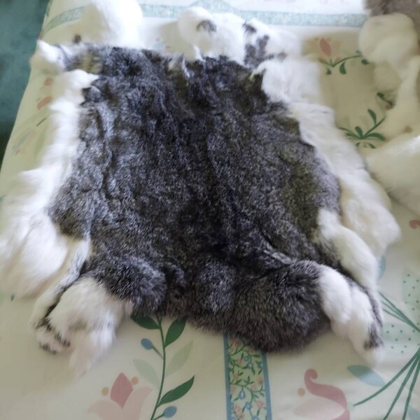Lot of 4 Assorted Rabbit Hides- as Shown- Natural Rabbit Fur- No ...