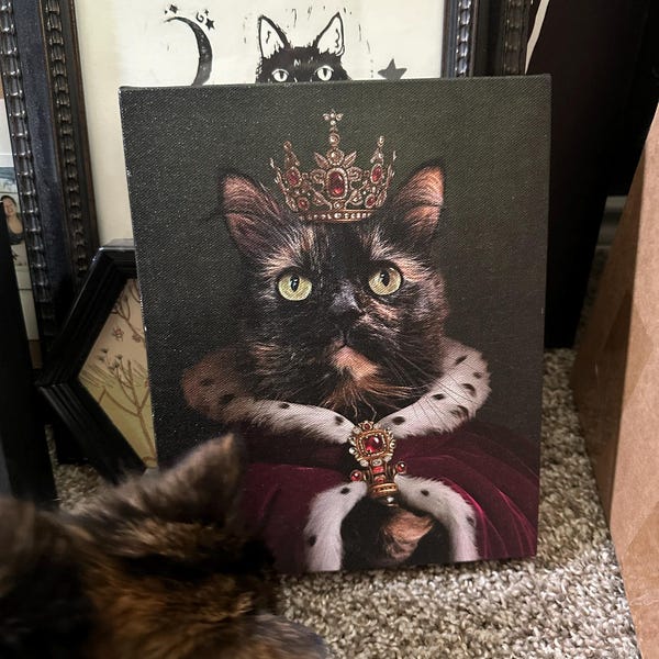 Custom Witch Pet Portrait From Photo Perfect Gothic Gift Dark Pet Gift ...