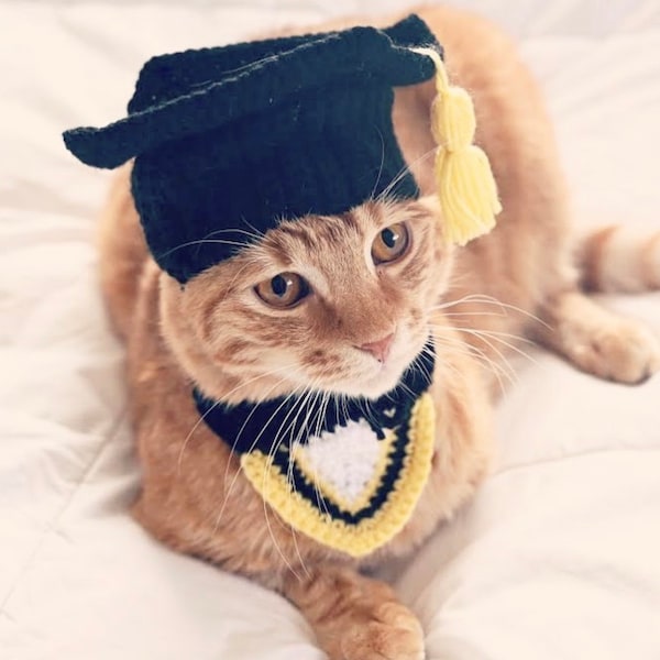 Graduation Costume for Cat, Graduation Cat Cap, Gift for Cat Lover, Cat ...