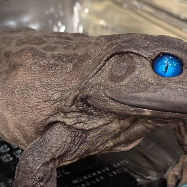 Blue Dragon Eyes Deep Blue Glass Snake Reptile Eyes for Toy Felted ...