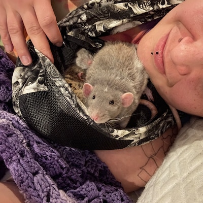 Snuggle Ball Pit Large Fleece Reversible Hanging Pouch 4 - Etsy