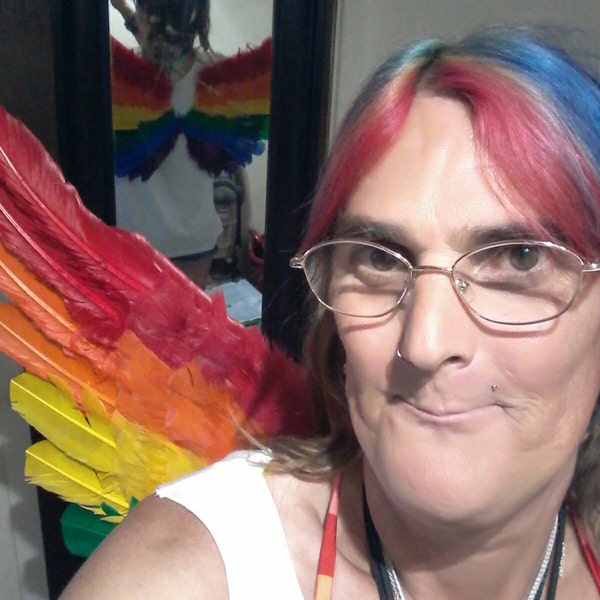Rainbow PRIDE Feather Wings - Carnival Costume Festival Wings, LGBTQ ...