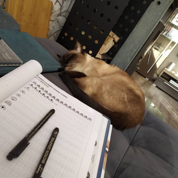 1.easiest Patterns Training Sheets for Beginners! Pdf,jpeg.mandala Art ...