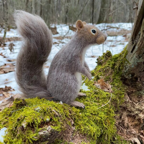 Needle Felted Squirrel Kit and Tutorial - Etsy