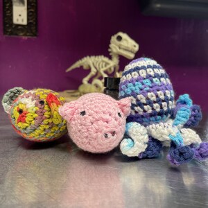 Ferret Emergency Chart and Health Medical Kit List Laminated Quick ...