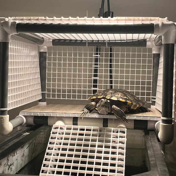 Tank Topper Turtle Dock! Sits on Top of Your Aquarium and Fits 18-19 ...