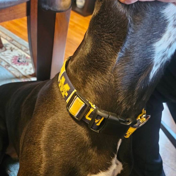 Seattle Seahawks Navy Blue NFL Dog Collar Handmade by Terri's Dog ...