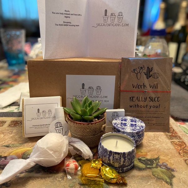 Quarantine Gift Box, Virtual Hug Gift Box, Succulent Gift Box, Best ...