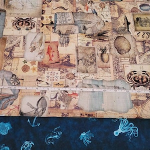 Jungle Animal Border Stripe Cotton Fabric Wee Safari 25641-10 Northcott ...