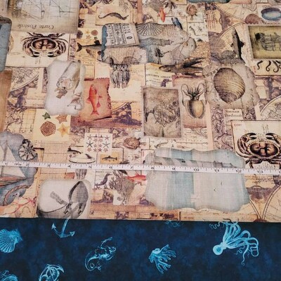 Jungle Animal Border Stripe Cotton Fabric Wee Safari 25641-10 Northcott ...