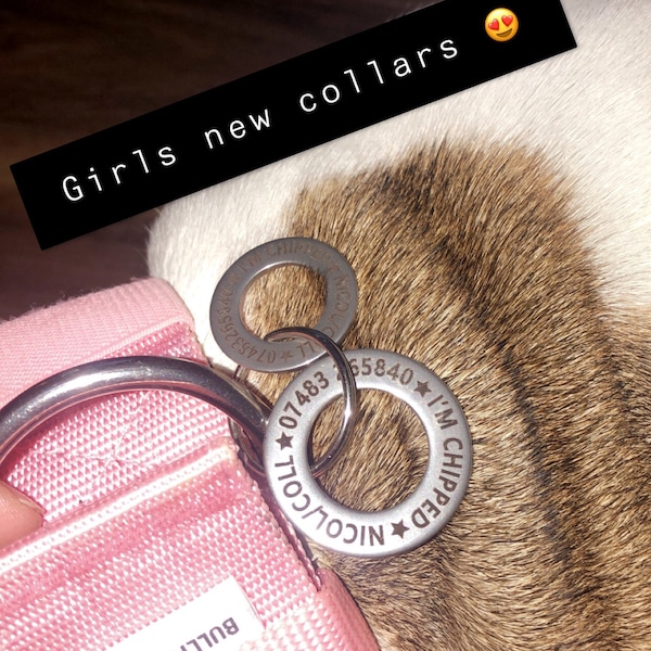 Funky Design Large Dog ID Disc Tag. Stainless Steel Washer Style ...