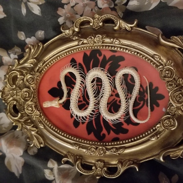 Personalized-mortician's-double-id Toe Tags in Display Frame, Oddity ...