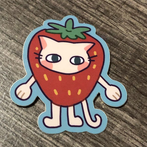 Fruit Cat Stickers | Cute Aesthetic Matte Vinyl Sticker Pack - Etsy
