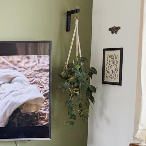 Indoor Plant Hook, Wall Mounted Wooden Plant Hanger - STEM Plant ...