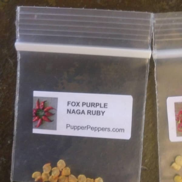 Fox Purple Naga Ruby Superhot Pepper Seeds - Superhot Pepper Seeds, Non ...