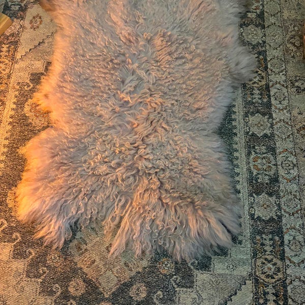 Lambskin Leather Hide Black Laser Engraved Elegant Floral Pattern Ultra ...