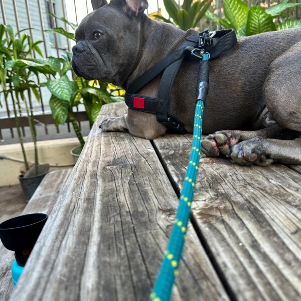 Tactical Dog Leash Climbing Rope Leash Gift for Dog Lover - Etsy