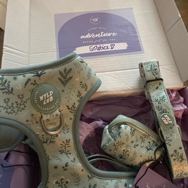 Adjustable Dog Harness for Extra Small Puppies to Large Dogs ...