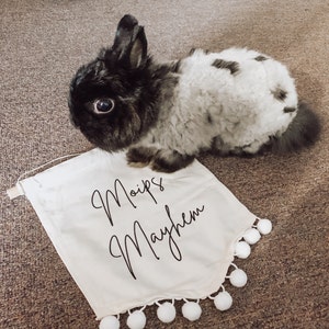 Digital Download Plans for Luxury Bunny Cubby Free Roam Bunnies Cat ...