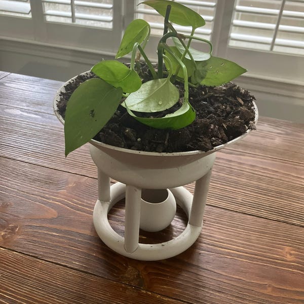 The FUNNEL Planter With Stand and Water Catch for Indoor House Plants ...