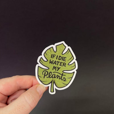 Art Print 8 X 10 11x14 Monstera Magic - Etsy