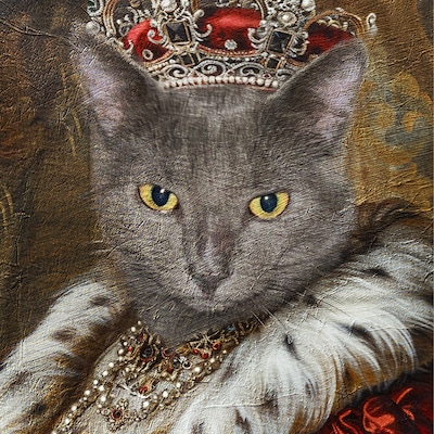 Custom Cat Royal Portrait From Photo, Royal Dog Portrait, Regal Cat ...