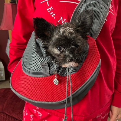 Jack Russell Jewelry Jack Russell Necklace Jack Russell Art Jack ...