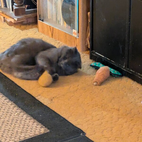 This item is unavailable - Etsy